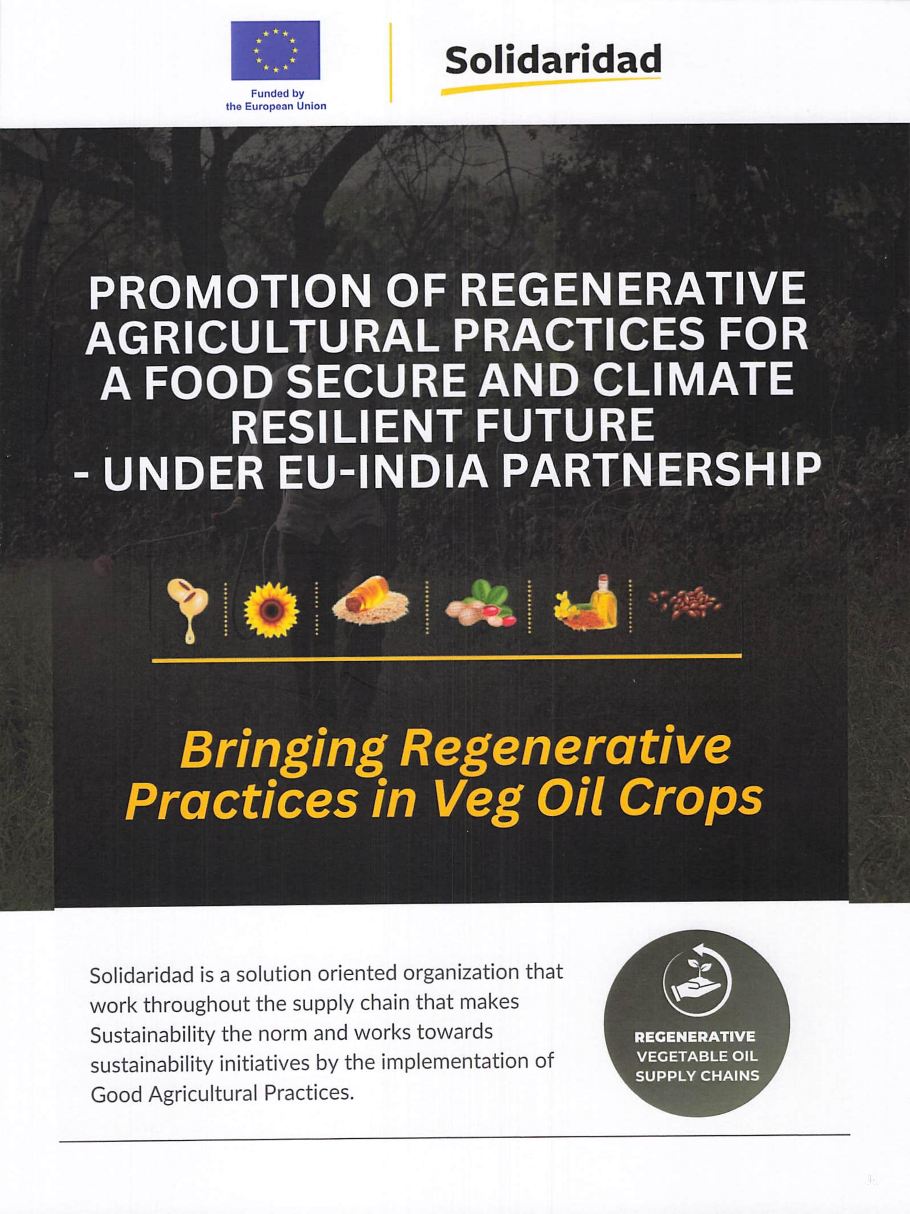 solidaridad network india