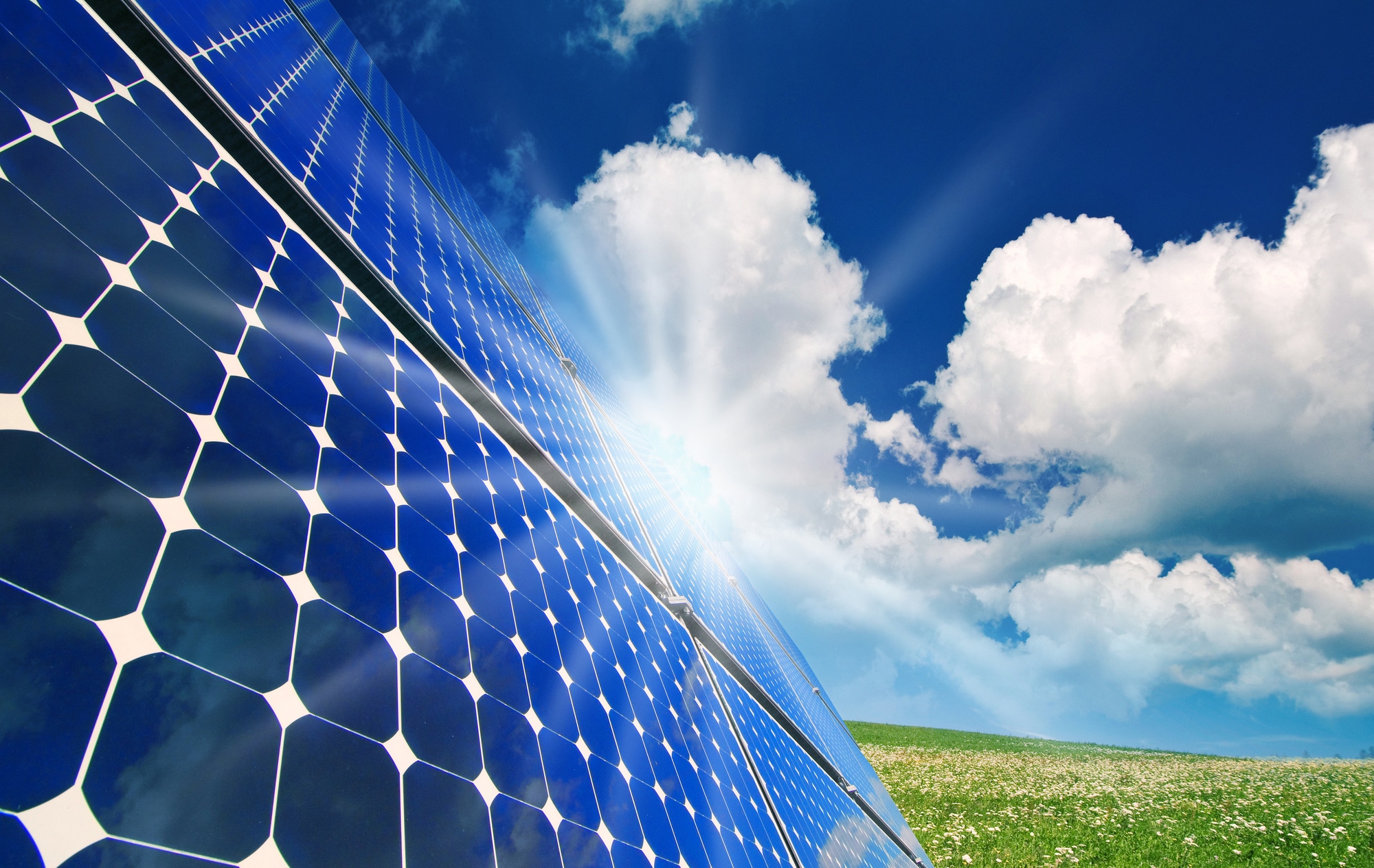 Peacock Solar in Saraswati Nagar, Ajmer - Best Natural Resource ...