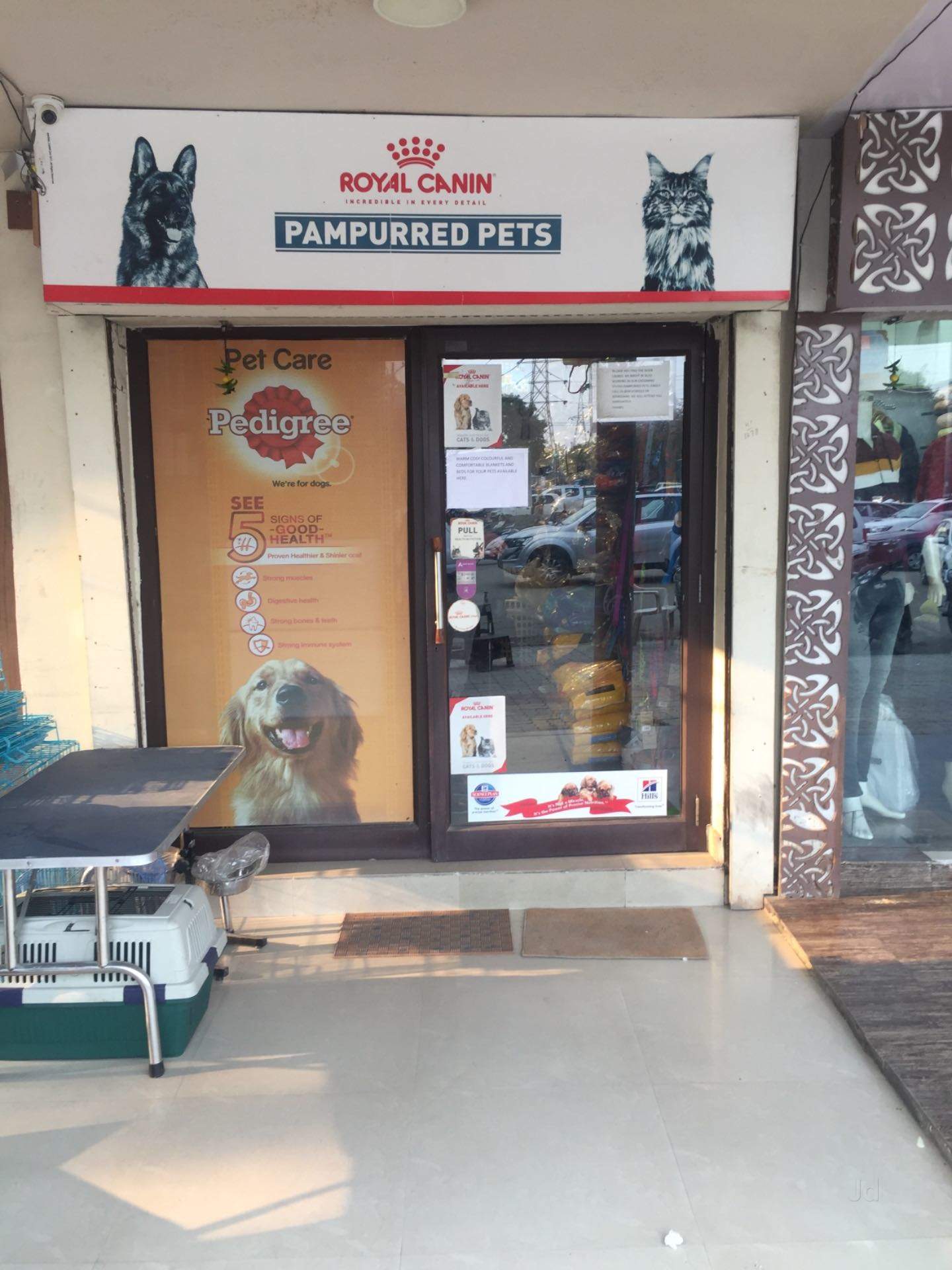 Top Pet Shops in Amritsar - Best Pet Store near me - Justdial