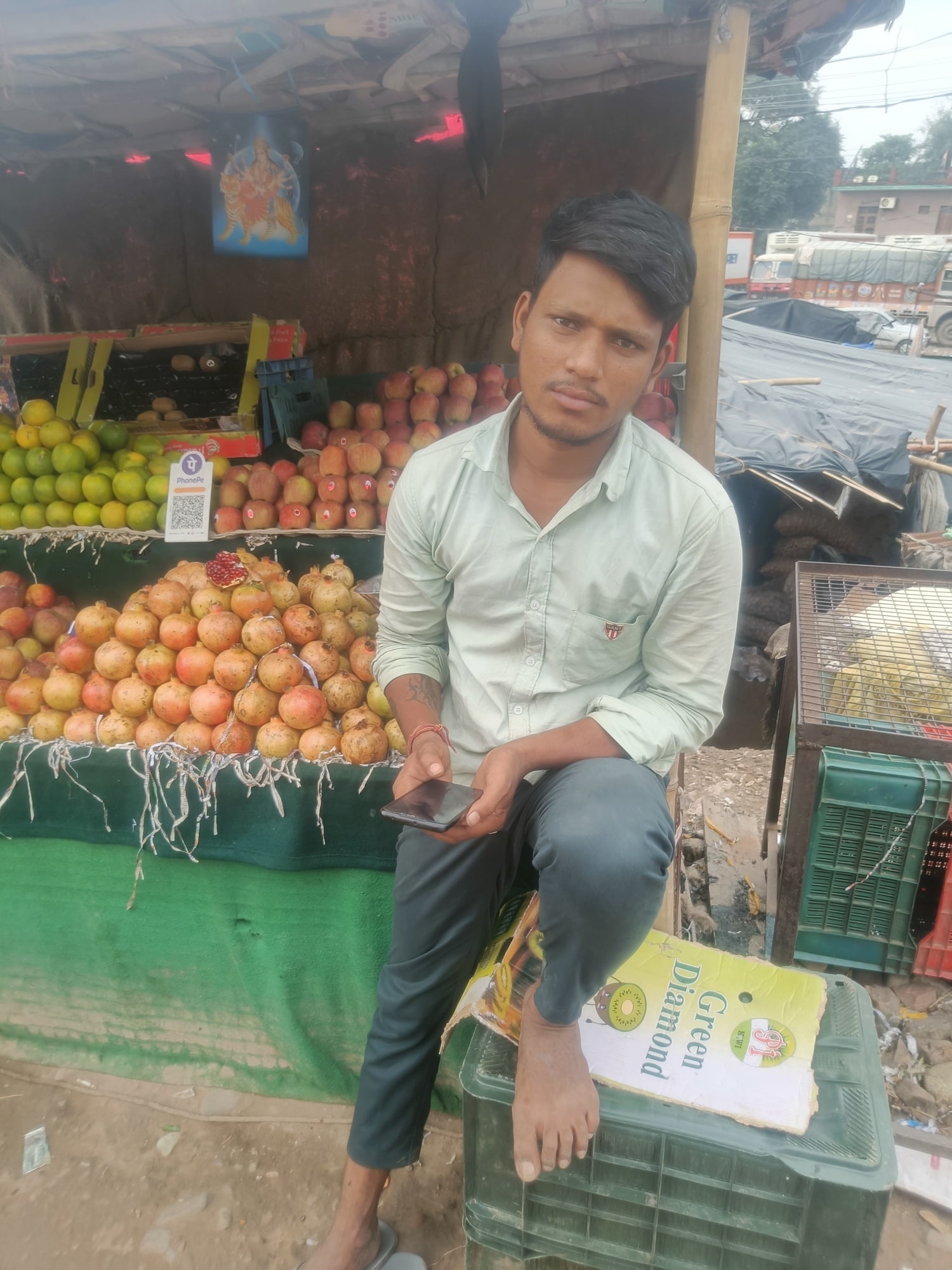 Gaurav Fruit Shop in Haripur Sandoli, Baddi - Best Fruit Wholesalers in ...