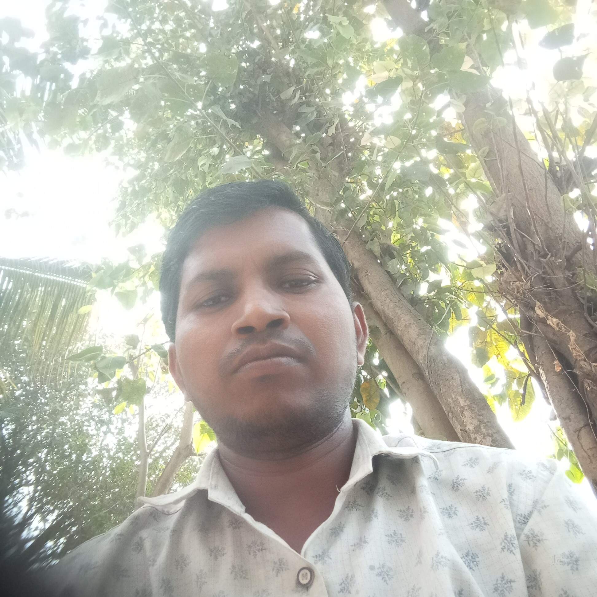 Raja Bhai Treading Company in Atarra, Banda - Best Fruit Wholesalers in ...