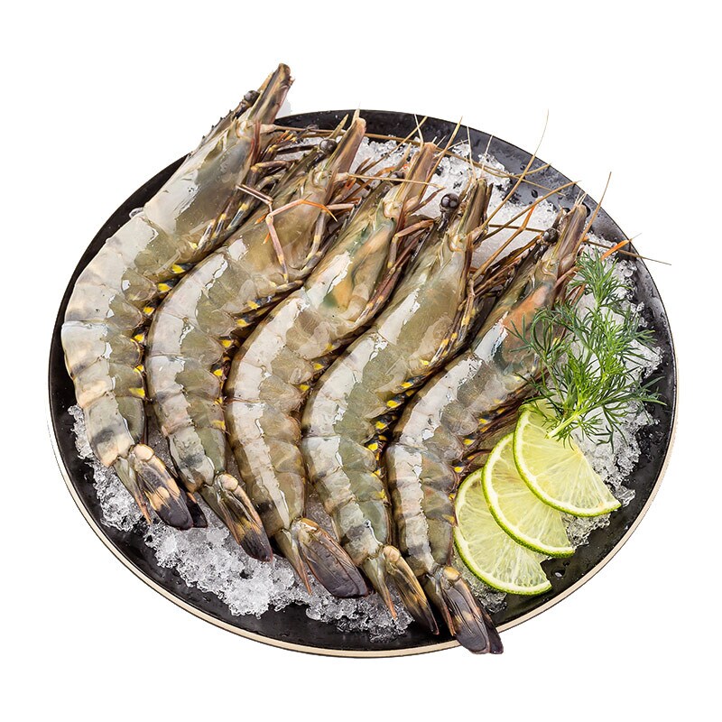 Catalogue - Ocean Feast in Porur , Chennai - Justdial