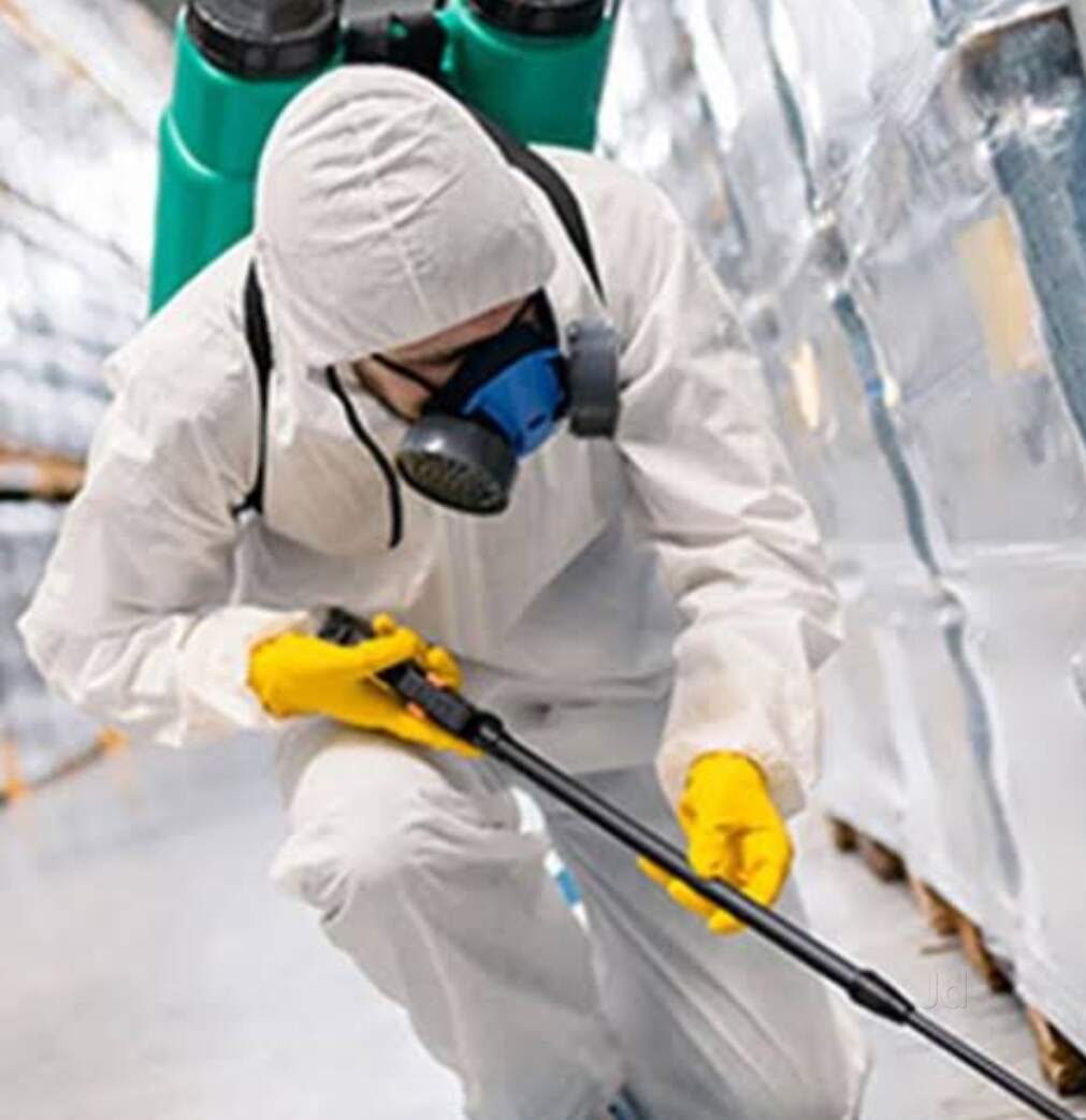 Pest Control Services for Bed Bugs in Sdc Dav, Jaipur - Bed Bug Removal ...