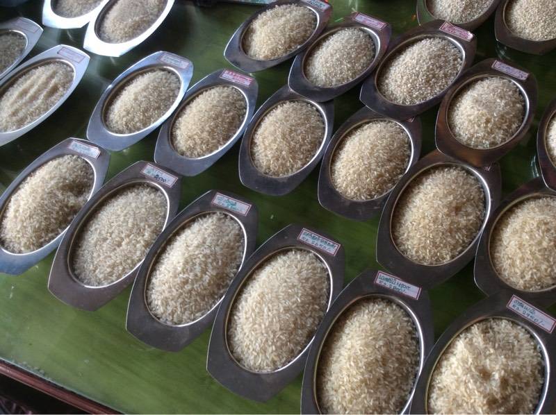 Catalogue - Chitra RICE Mundy in Ganapathy , Coimbatore - Justdial