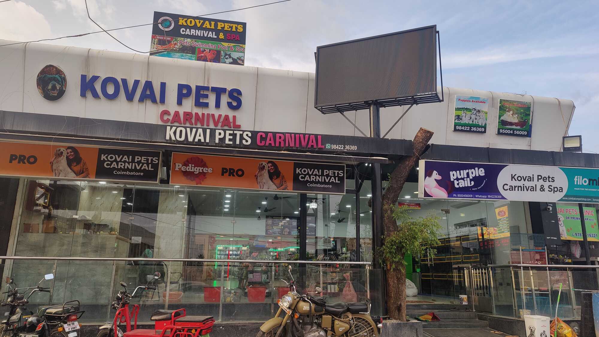 Top Pet Shops in Coimbatore - Best Pet Store near me - Justdial