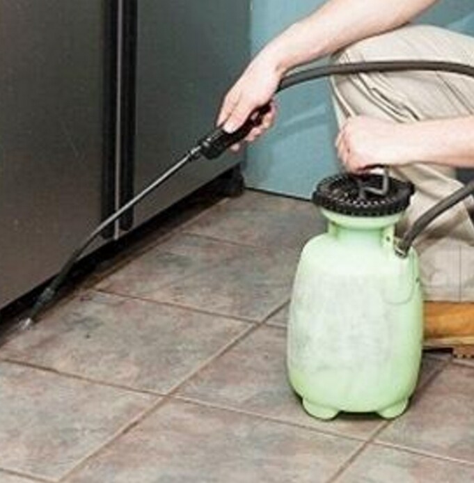 Zobele India Pvt Ltd in Bhimpore, Daman - Best Pest Control Services in ...