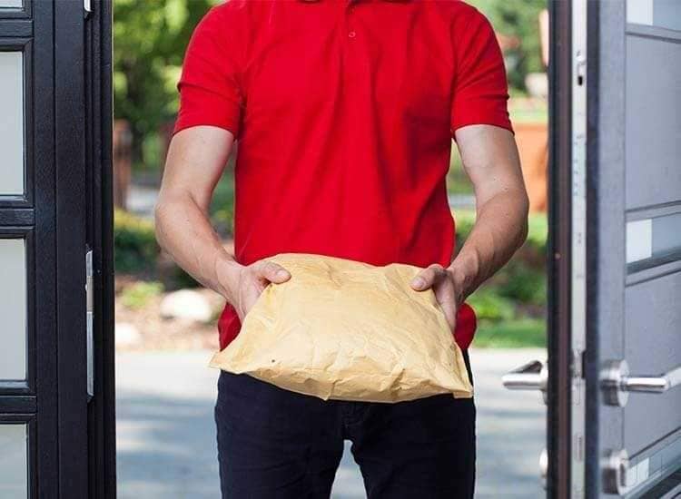 Top Pigeon Express Domestic Courier Services in Jhimani - Best Pigeon ...