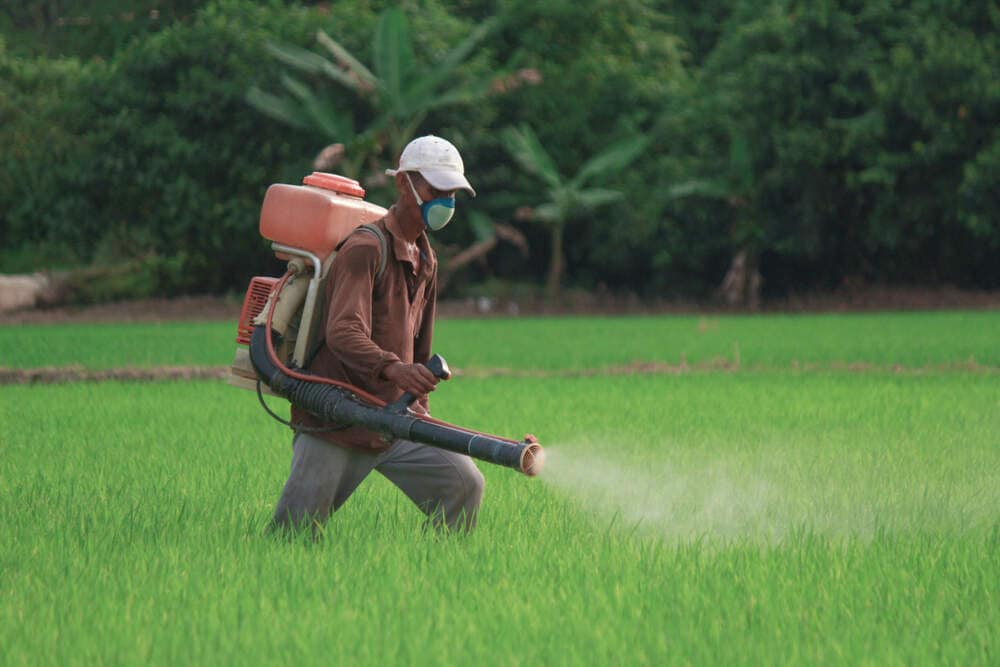 Coromandal Fertilizer in Bangalore - Best Fertilizer Dealers in ...
