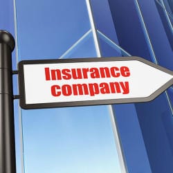 Top LIC Life Insurance Agents in Nayudupeta - Best LIC Insurance Agents ...