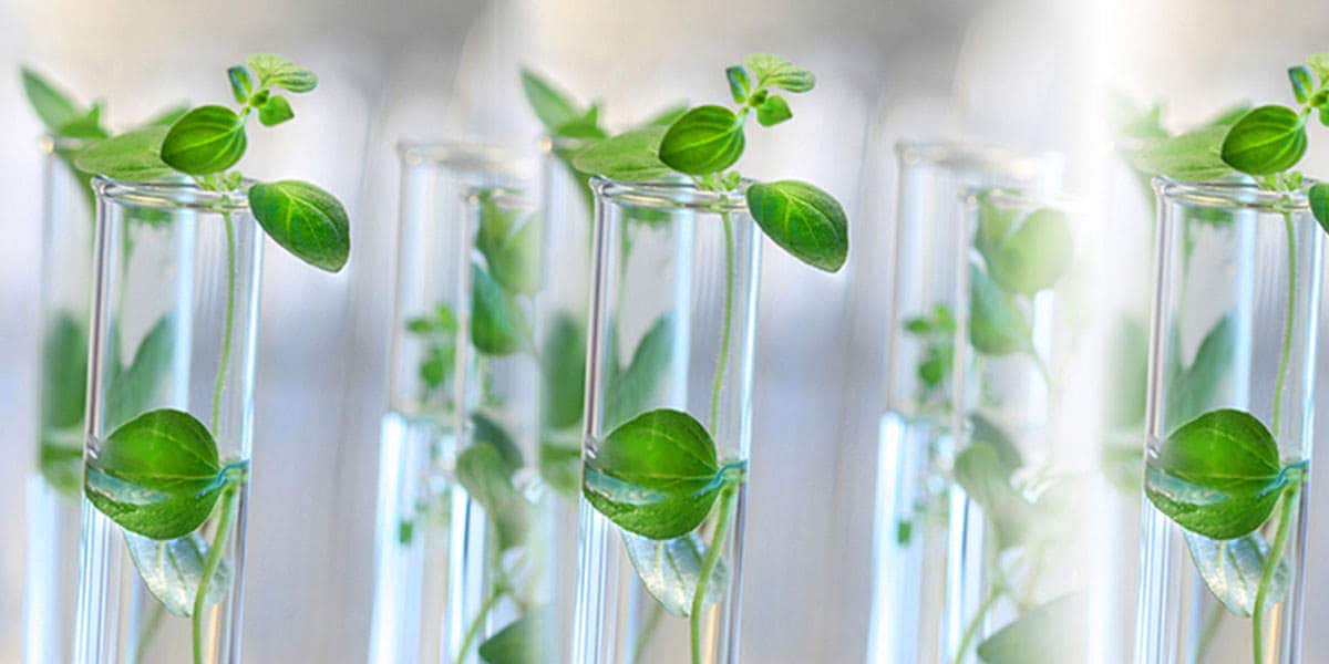 Jay Ami Polymers Pvt Ltd in Masjid Bunder, Mumbai - Best Chemical ...