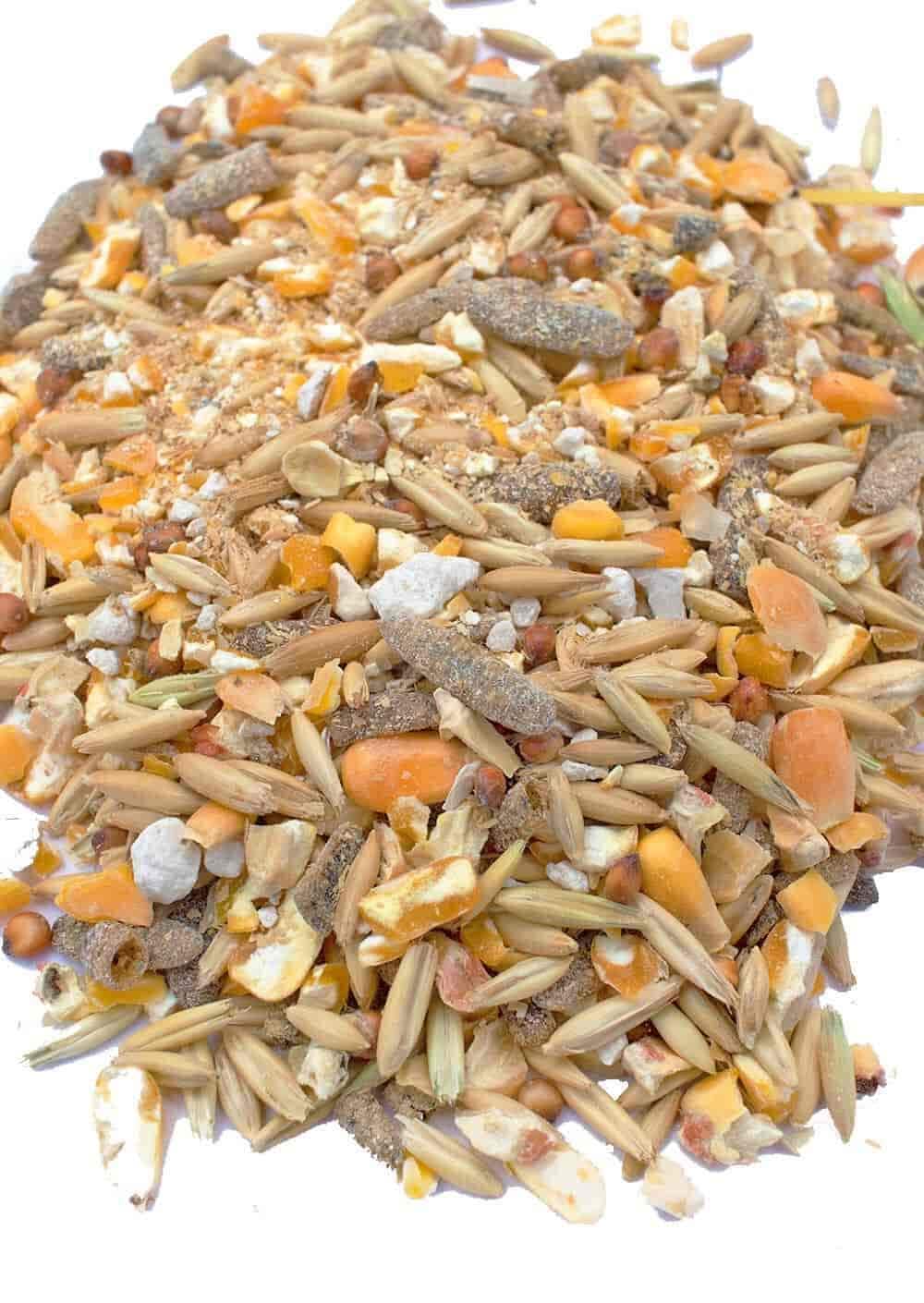 Chickan feed in Nadiad - Best Poultry Farms in Nadiad - Justdial