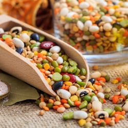 Jindal Oil & Fats Ltd Photos, Rajendra Place, Delhi- Pictures & Images ...