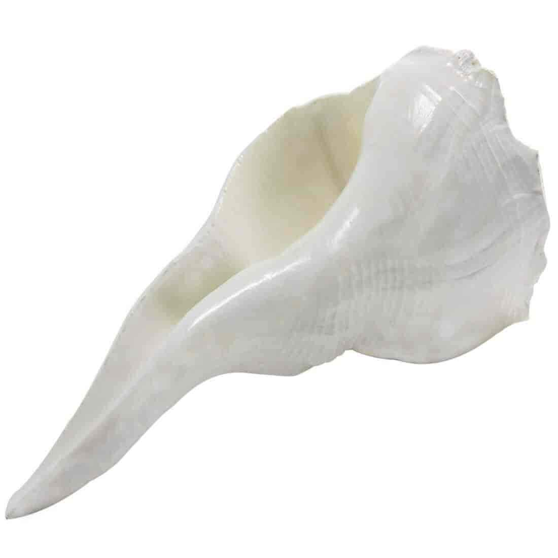Gomatha Pooja Products in Thindal Erode, Erode - Best Puja Item ...