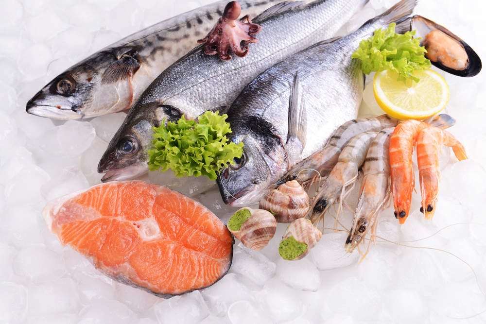 Ocean Fresh in Mahim, Mumbai - Best Seafood Wholesalers in Mumbai ...
