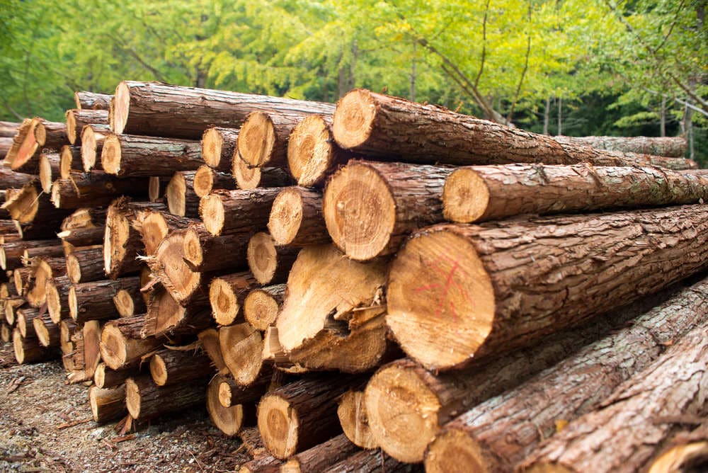 Srinivasa Timber in Maduravoyal, Chennai - Best Timber Dealers in ...