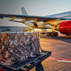 Top Courier Services TNT near Little Holy Angels Matriculation Higher ...