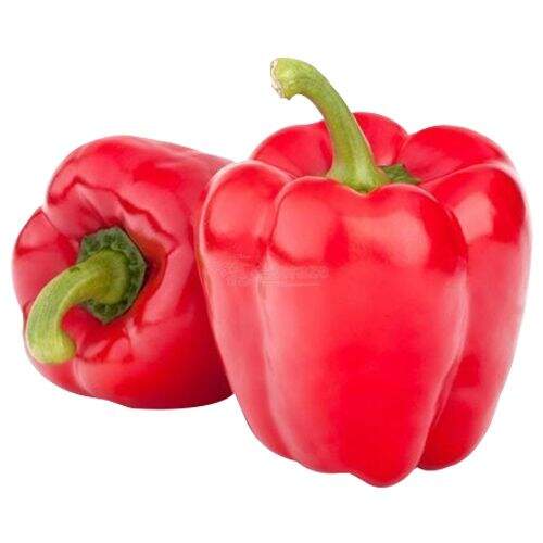 Shree K V Farms in Falaknuma, Hyderabad - Best Yellow Capsicum Growers ...