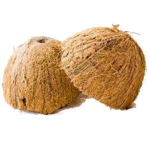 Phoenix Charcoal in Chennai - Best Coconut Shell Dealers in Chennai ...