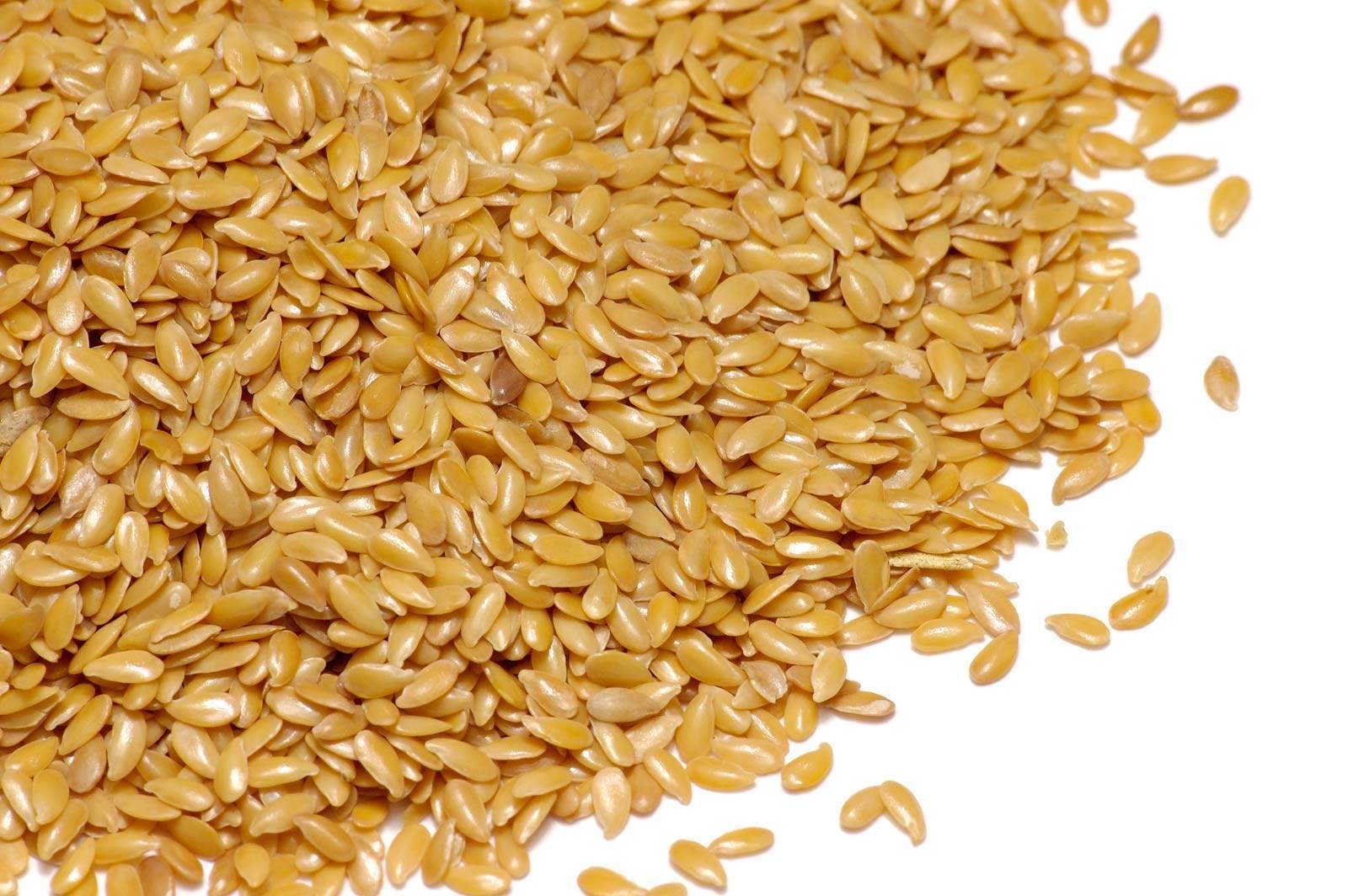 Sunrise Gruhyog in Shahibaug, Ahmedabad - Best Flax Seed Manufacturers ...