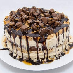 Top Ice Cream Cake Retailers Ibaco in Chikodi - Best Ice Cream Cake ...