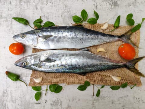 Paragon Sea Foods in Marine Drive, Ernakulam - Best Seafood Exporters ...