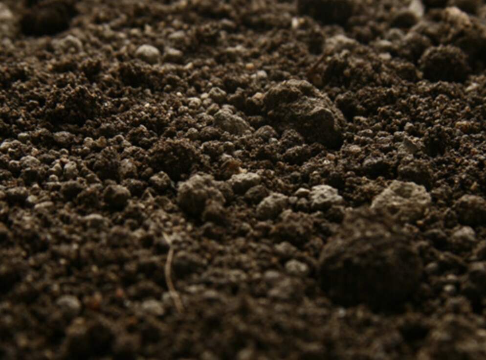 SG Groups in Deodurga, Raichur - Best Soil Manufacturers in Raichur ...
