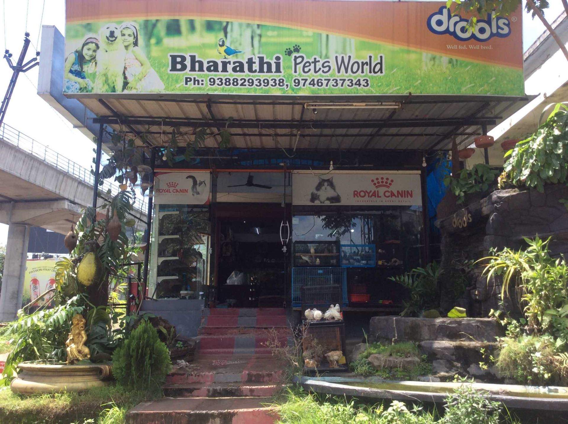 Top Pet Shops in Kochi - Best Pet Store near me - Justdial
