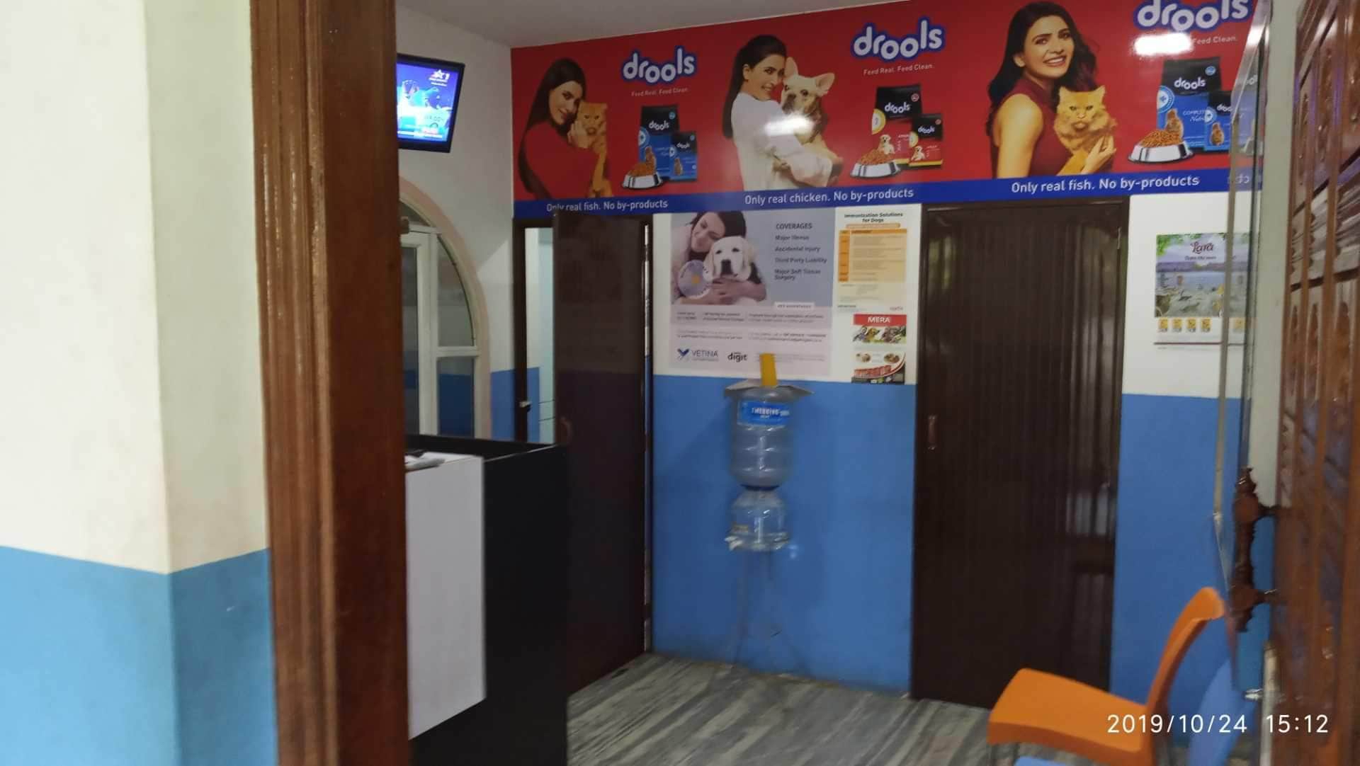 Best Pet Clinics in Ernakulam - Top Birds Clinics near me | Justdial