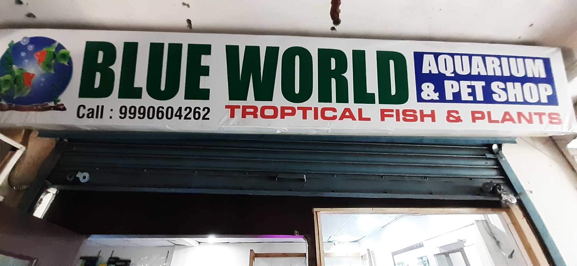 Catalogue - Coral World Premium Aquarium Shop in Vaibhav Khand ...