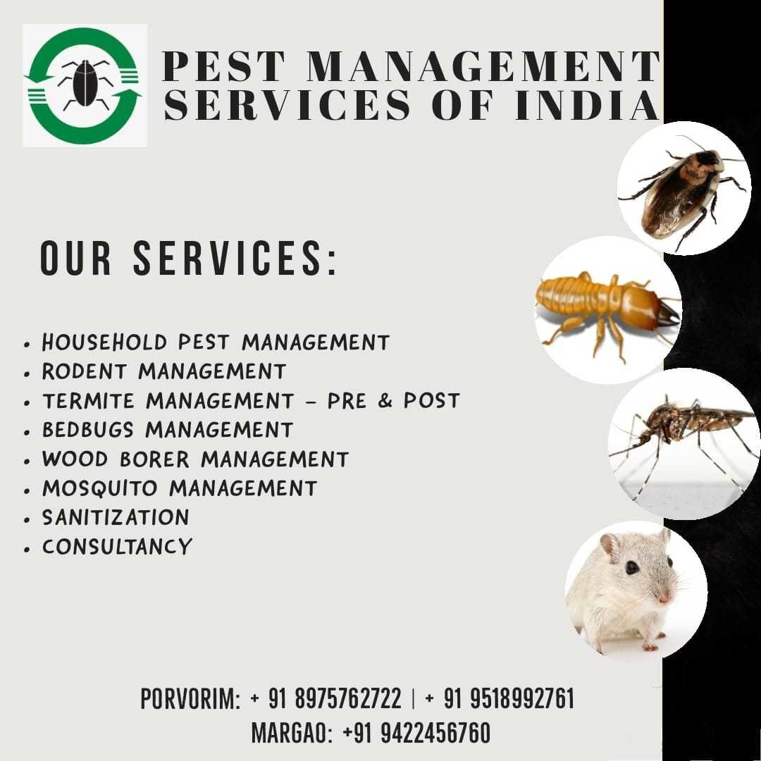 Bommey in Kamat Nagar,Goa - Best Pest Control Services near me in Goa ...