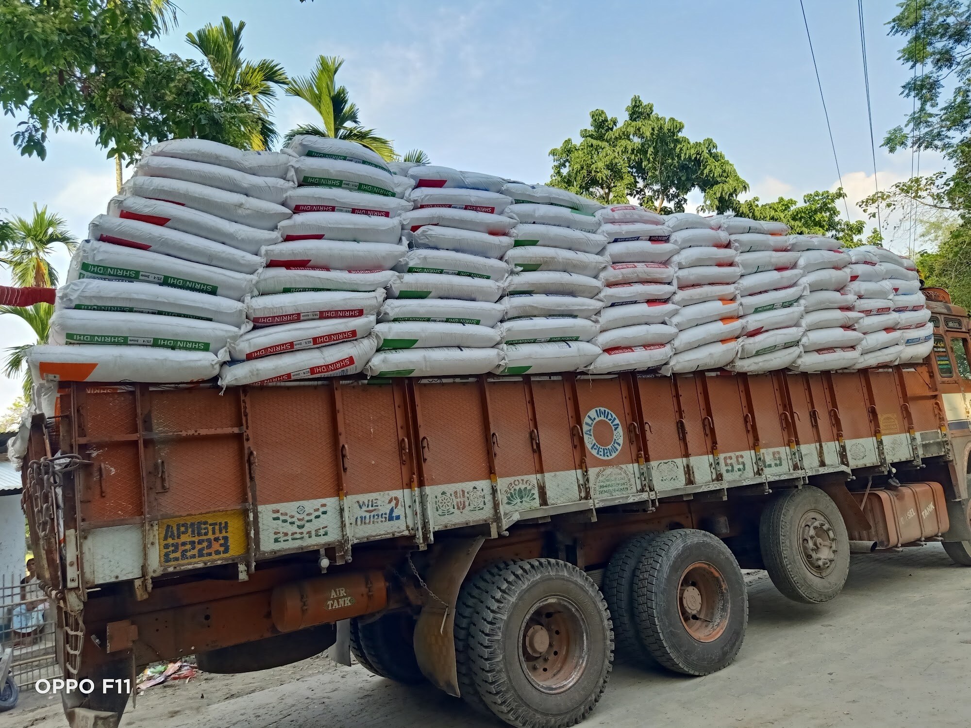P Feed Store in Manimugdha Nagar, Guwahati - Best Animal Feed Dealers ...