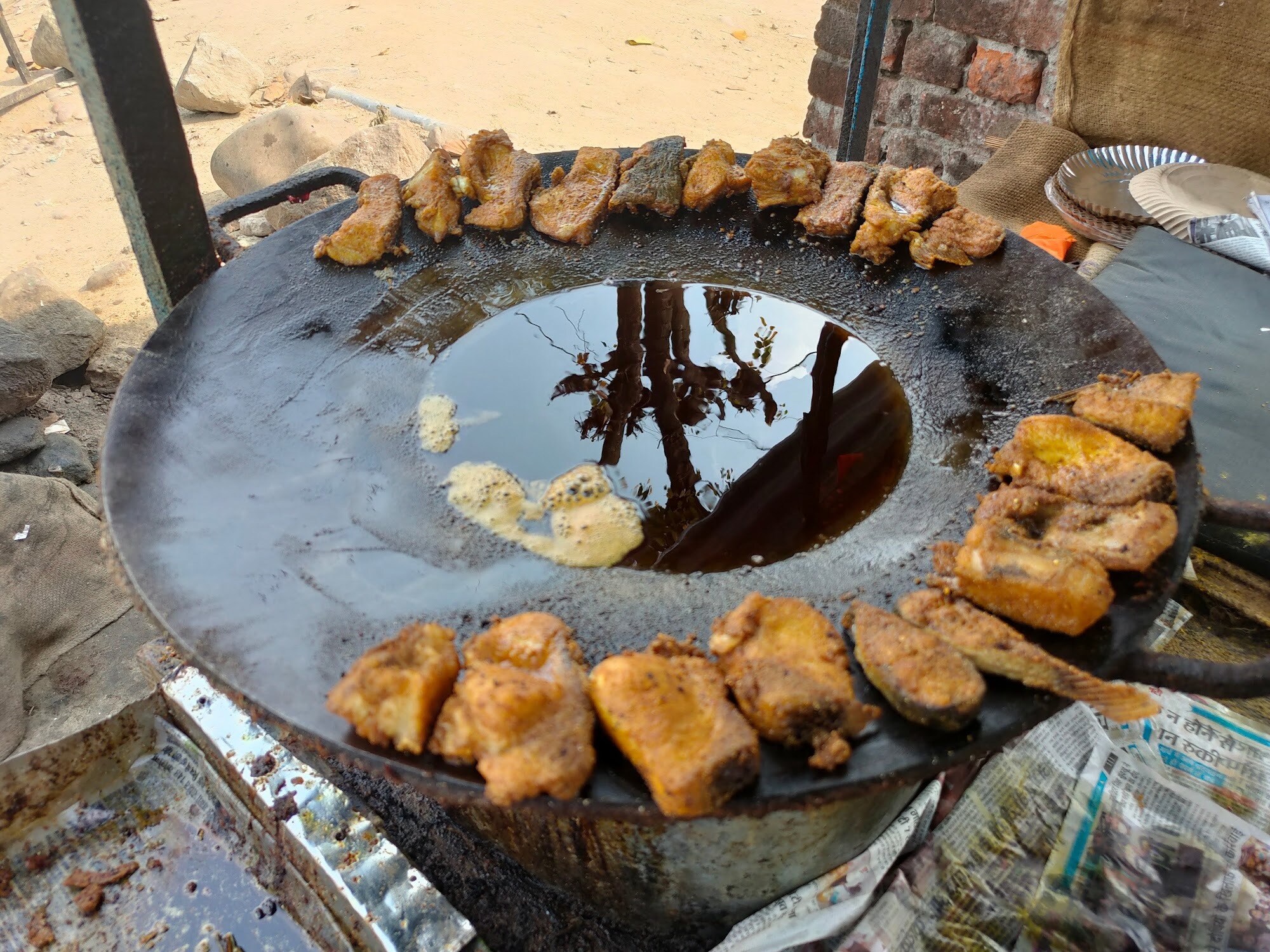 Subhash Fish Corner in Rangas,Hamirpur-himachal Pradesh - Best Aquarium ...