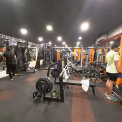 Muscles factory store