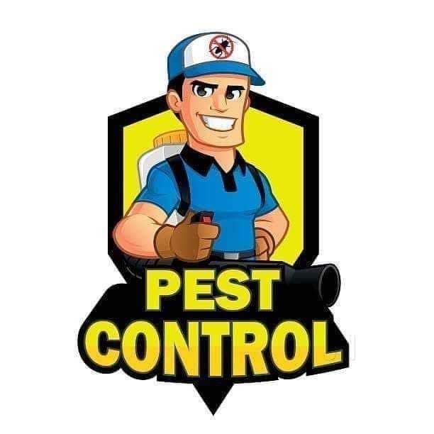Residential Pest Control Services in Jabalpur - Home Treatment Options ...