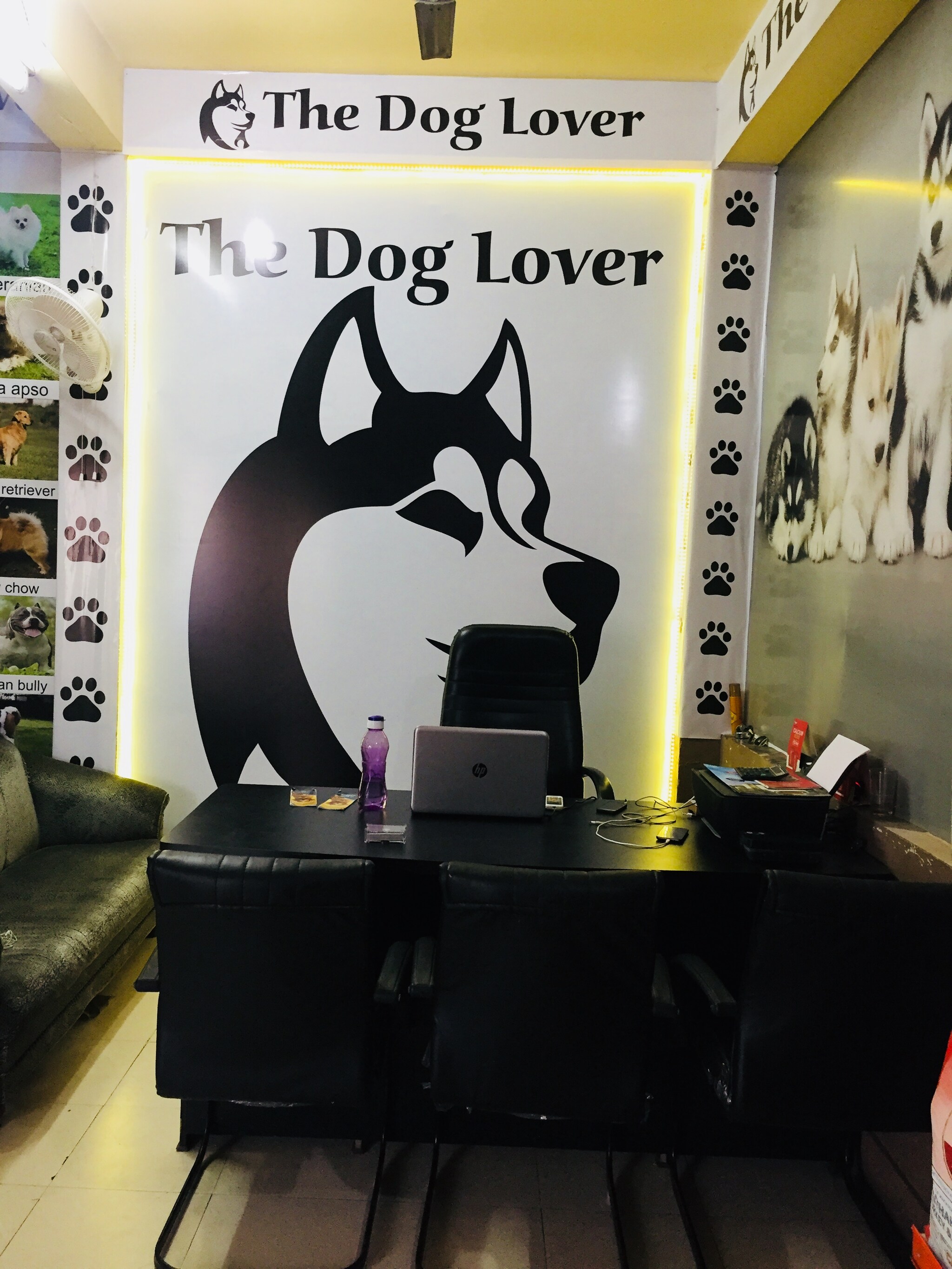 Top Pet Shops For Golden Retriever Dog near Dinkar Child General ...