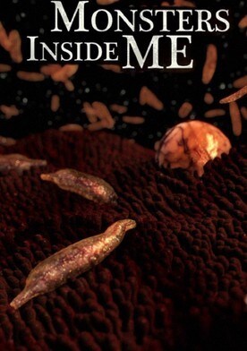 Monsters Inside Me - Shows Online: Find where to watch streaming online ...