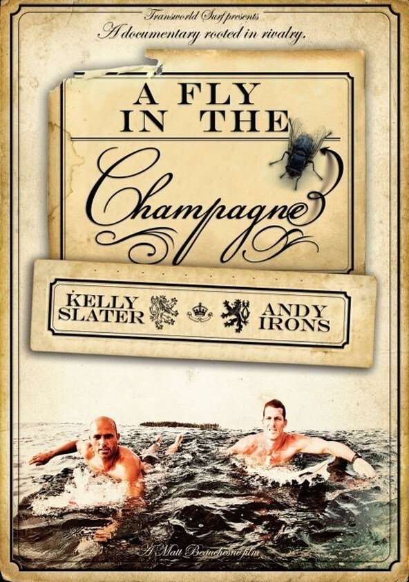 Watch A Fly in the Champagne Full movie Online In HD | Find where to ...