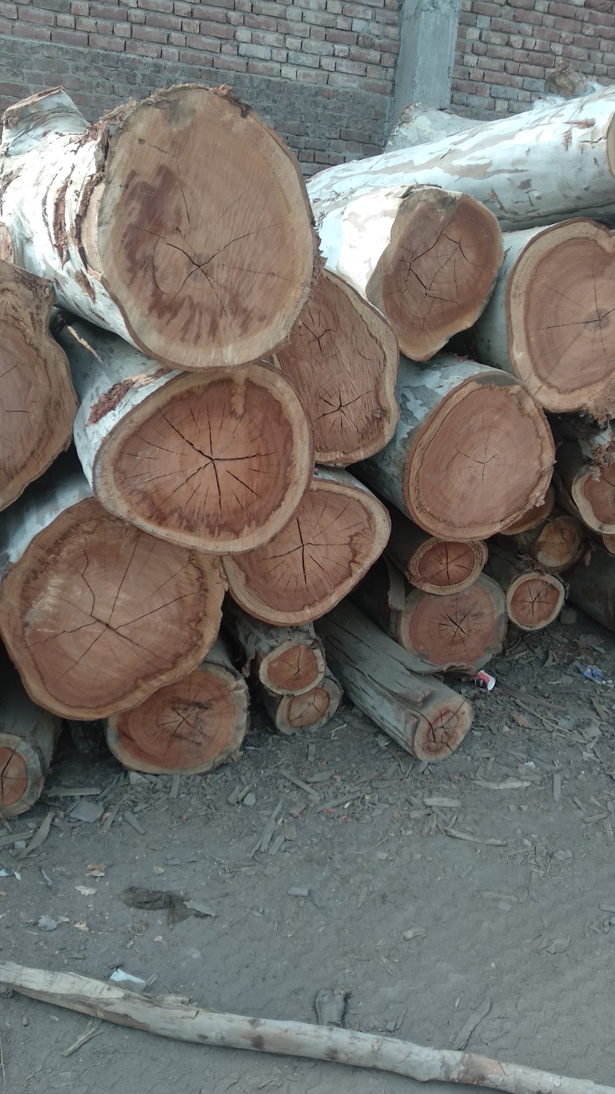 Catalogue - Goel Timber Store in Kaithal HO , Kaithal - Justdial