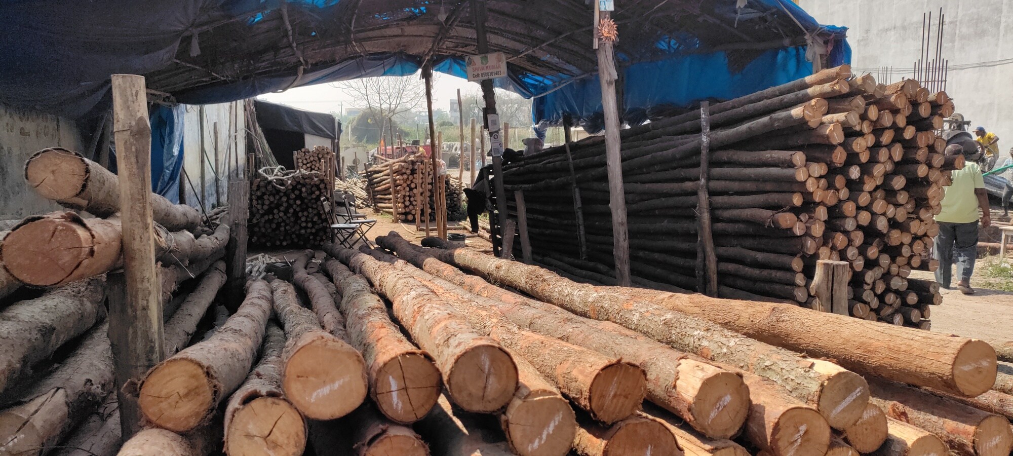 Sri Rarajeshwara Bamboo Merchant in Husnabad, Karimnagar - Best Bamboo ...