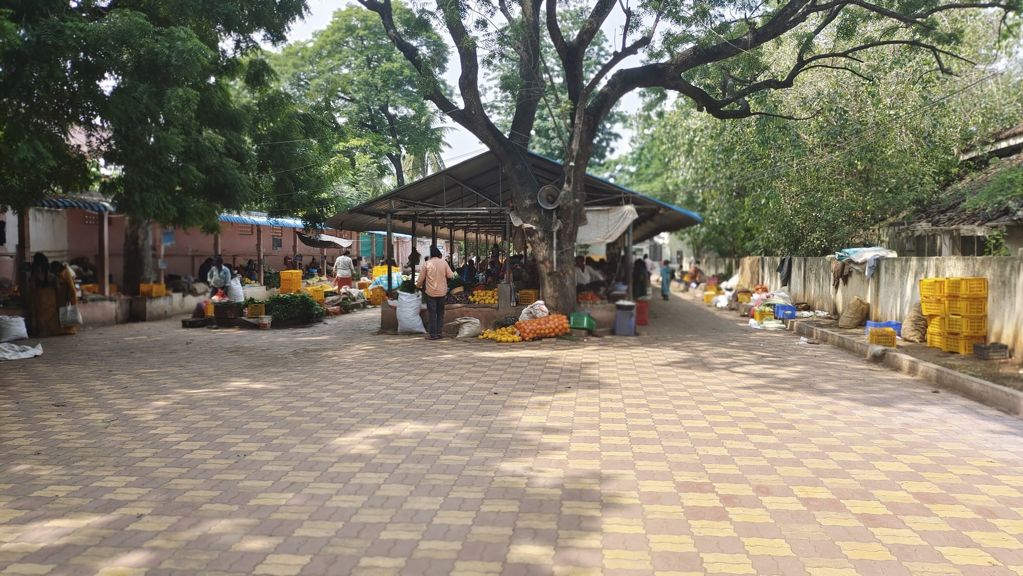 Rythu Bazar in Kankipadu, Krishna - Best Vegetable Wholesalers in ...