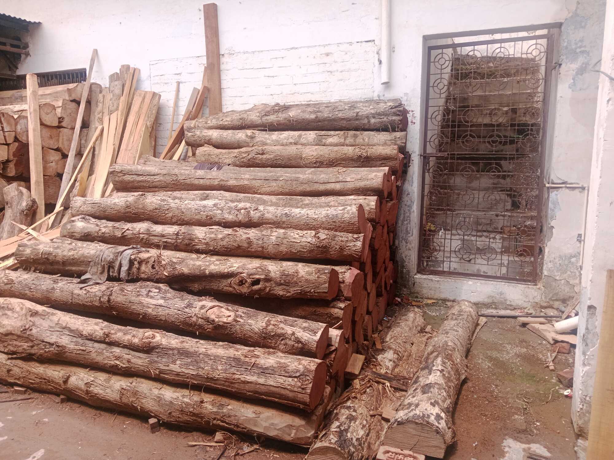 Jain Timber Store in Pipli, Kurukshetra - Best Timber Dealers in ...