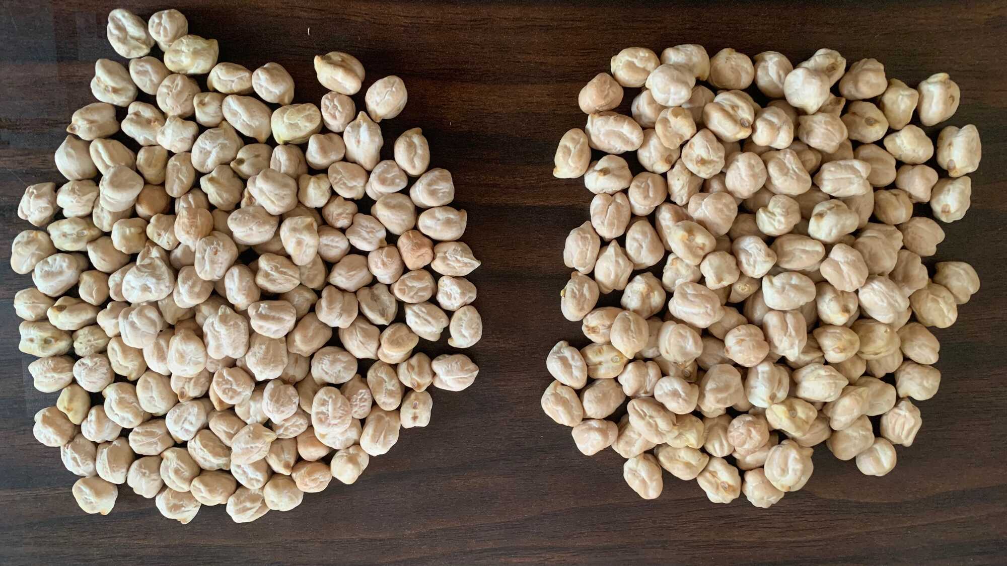 Till (Sesame seed) in Unjha at ₹ 160 - ₹ 195 / Kg by Kailash Agro Unjha ...