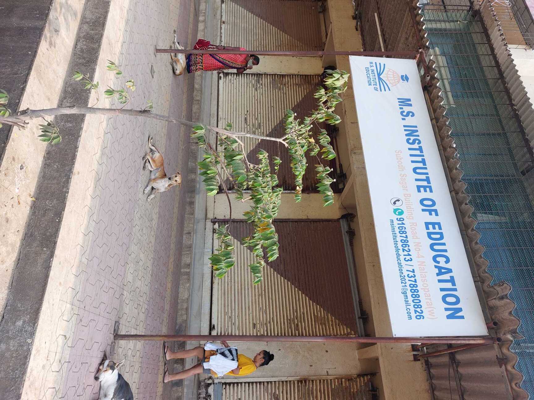 List of Top Science Colleges in Nalasopara West - Best Science Govt ...