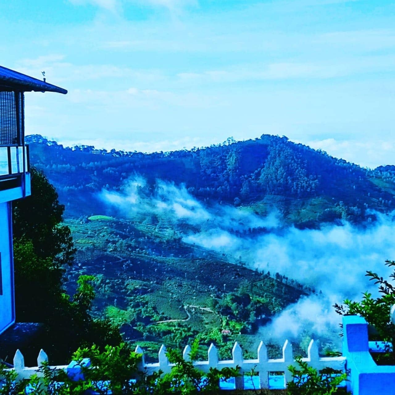 Top 100 Resorts in Munnar - Best Beach Resorts - Justdial