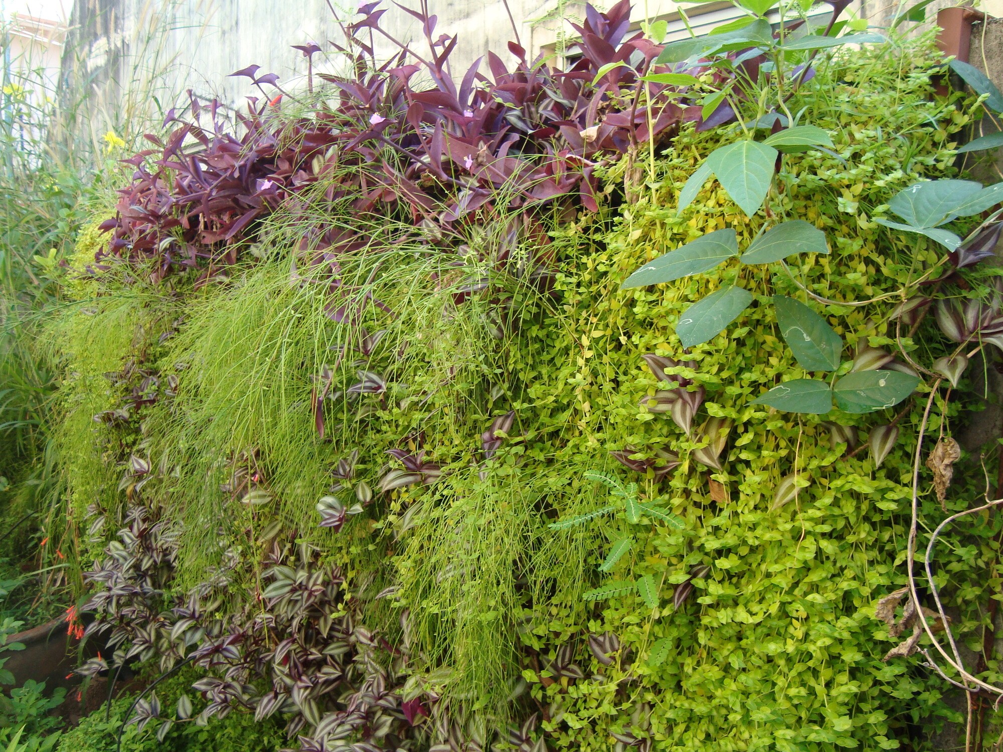Natwall in Puthukudierupu, Nagercoil - Best Agricultural Consultants in ...
