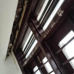 12 Photos of Blue Tech Pest Control in Halol Gidc, Halol - Justdial