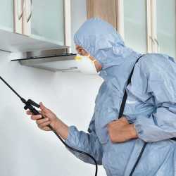12 Photos of Blue Tech Pest Control in Halol Gidc, Halol - Justdial