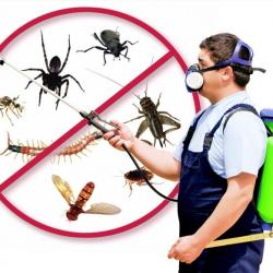 12 Photos of Blue Tech Pest Control in Halol Gidc, Halol - Justdial