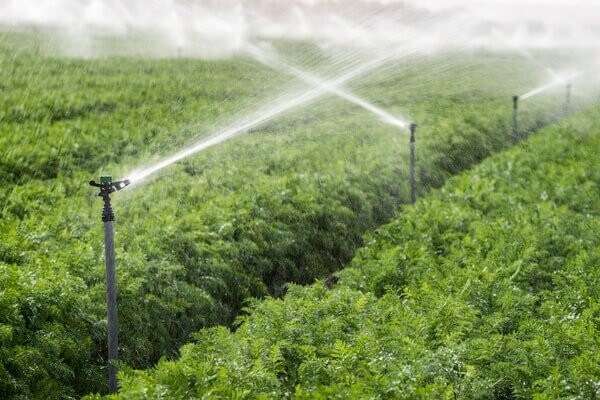 Rivulis Plastro in Dattawadi, Pune - Best Sprinkler Irrigation System ...