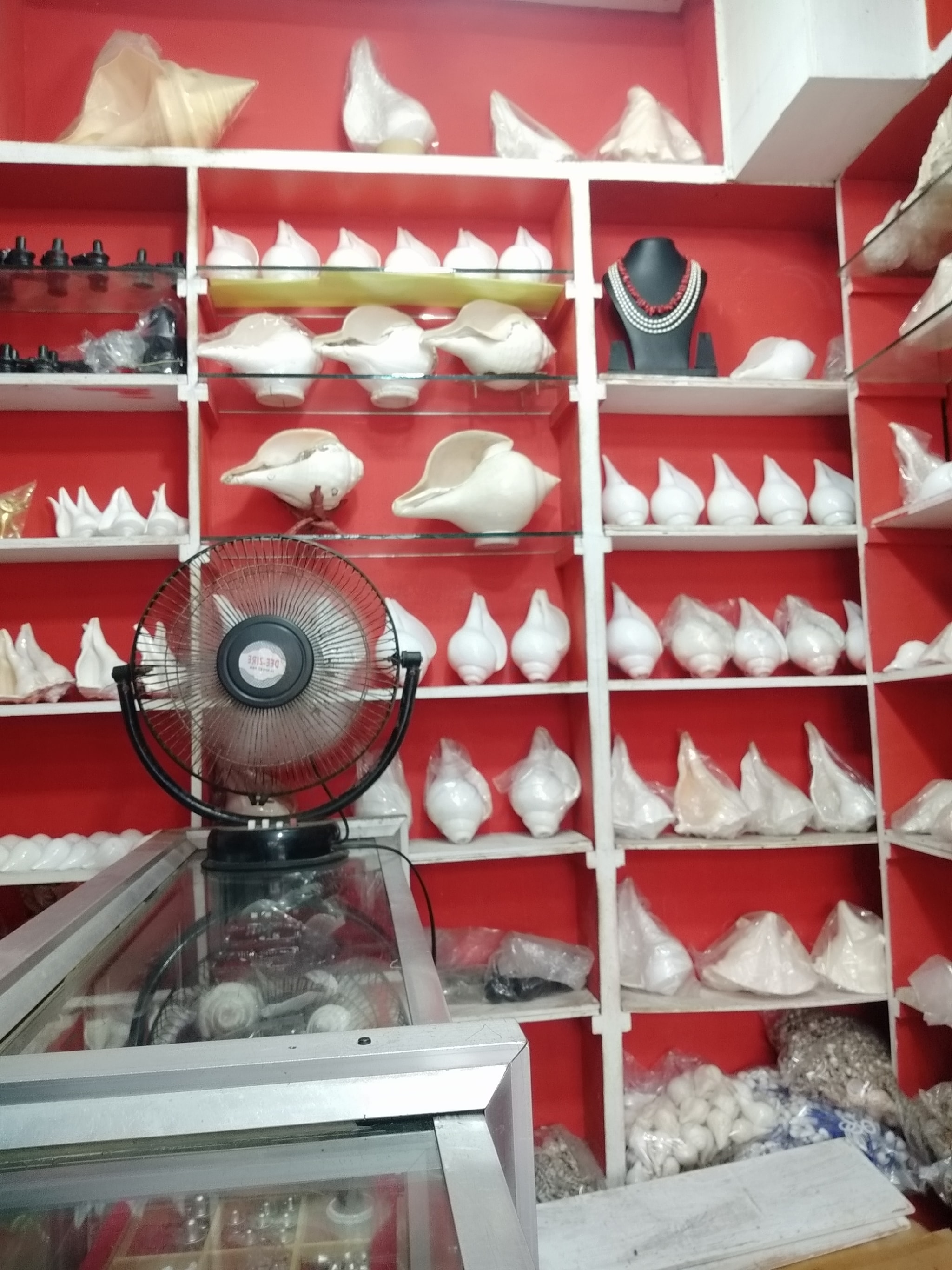 Shanmugaraj Sea Shell Mart in North Car Street, Rameswaram - Best Sea ...